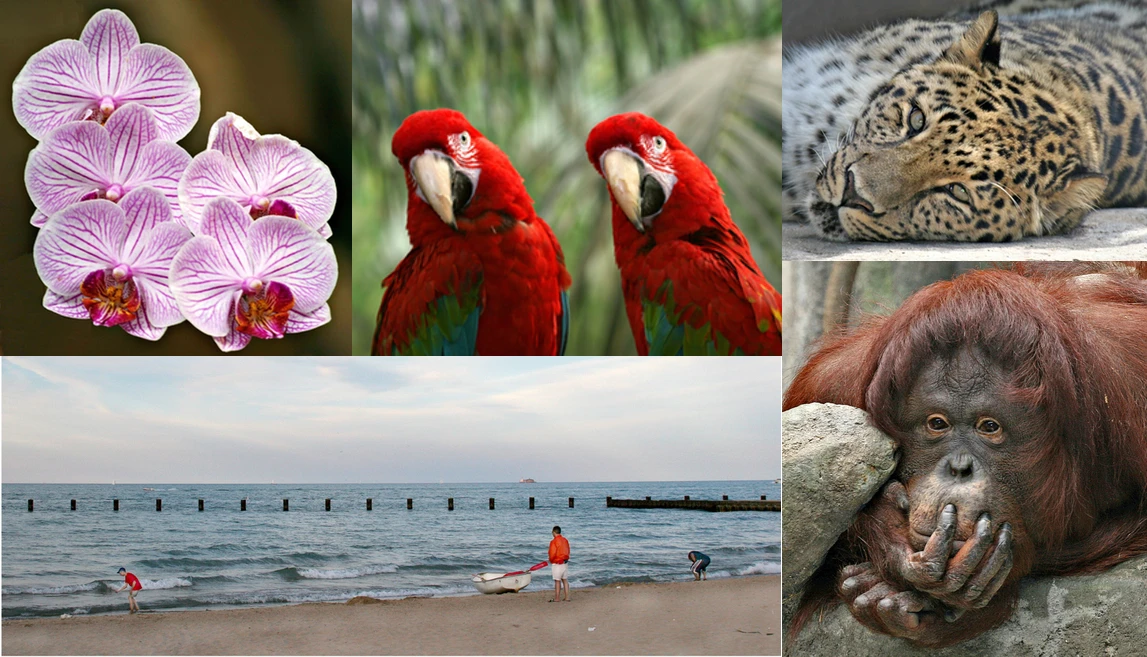 Meet Your Plastic Surgeon in Santa Ana, CA | Dr. Michael Jazayeri